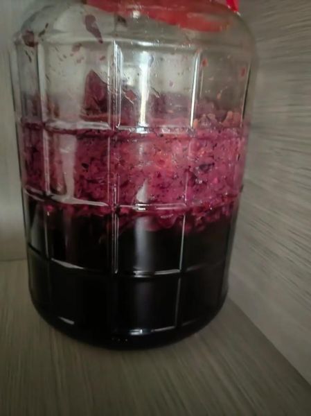 自制葡萄酒图片_真实做法-第2张图片-山城妙识 自制葡萄酒图片_真实做法-第2张图片-山城妙识