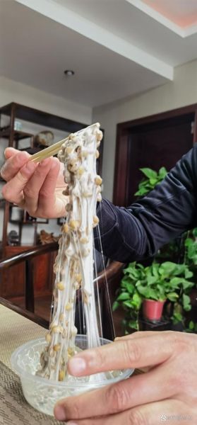 纳豆拉丝更多窍门_如何让纳豆拉丝更长-第1张图片-山城妙识 纳豆拉丝更多窍门_如何让纳豆拉丝更长-第1张图片-山城妙识