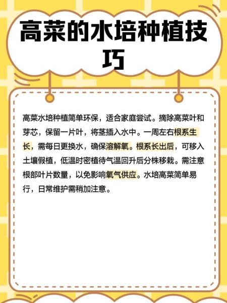 高丽菜为什么叫高丽菜_高丽菜名字的由来-第1张图片-山城妙识 高丽菜为什么叫高丽菜_高丽菜名字的由来-第1张图片-山城妙识