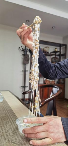 纳豆拉丝更多窍门_如何让纳豆拉丝更长-第2张图片-山城妙识 纳豆拉丝更多窍门_如何让纳豆拉丝更长-第2张图片-山城妙识