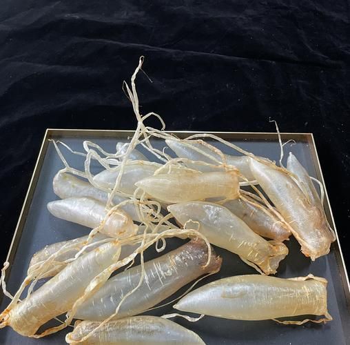 鮸鱼胶的功效与作用_孕妇可以吃鮸鱼胶吗-第3张图片-山城妙识 鮸鱼胶的功效与作用_孕妇可以吃鮸鱼胶吗-第3张图片-山城妙识