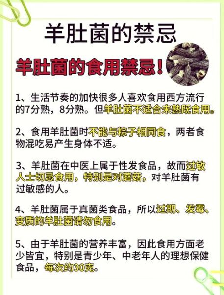 羊肚菌适合什么人吃_羊肚菌的禁忌人群有哪些-第1张图片-山城妙识 羊肚菌适合什么人吃_羊肚菌的禁忌人群有哪些-第1张图片-山城妙识