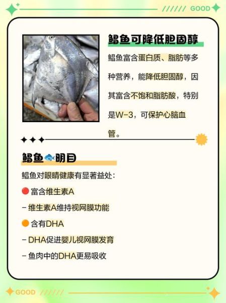 鲳鱼的营养价值_孕妇能吃鲳鱼吗-第1张图片-山城妙识