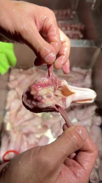 鸭头哪里不能吃_鸭头哪些部位不能吃-第1张图片-山城妙识 鸭头哪里不能吃_鸭头哪些部位不能吃-第1张图片-山城妙识