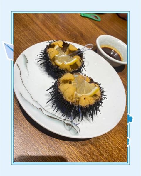 海胆生吃安全吗_如何挑选新鲜海胆-第3张图片-山城妙识 海胆生吃安全吗_如何挑选新鲜海胆-第3张图片-山城妙识