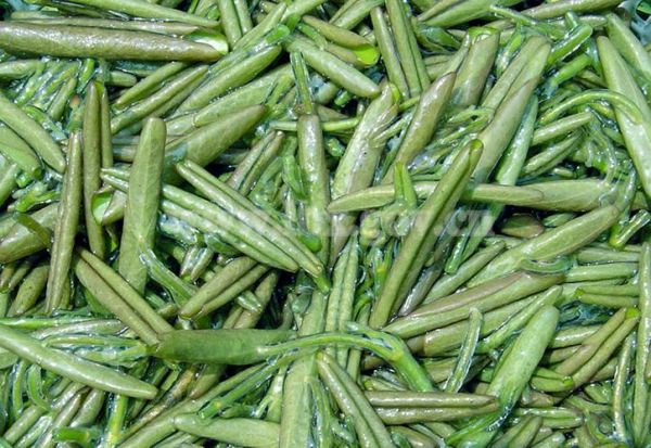 莼菜图片大全集_莼菜长什么样-第2张图片-山城妙识 莼菜图片大全集_莼菜长什么样-第2张图片-山城妙识