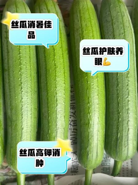 男人多吃丝瓜影响性功能吗_丝瓜对男性激素的真相-第1张图片-山城妙识