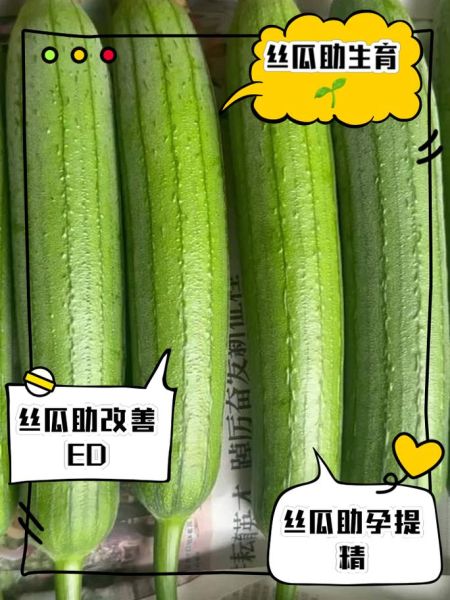 男人多吃丝瓜影响性功能吗_丝瓜对男性激素的真相-第2张图片-山城妙识