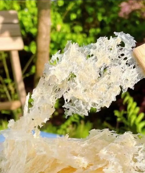 银耳泡发2一3天能吃吗_银耳泡久了有毒吗-第2张图片-山城妙识 银耳泡发2一3天能吃吗_银耳泡久了有毒吗-第2张图片-山城妙识