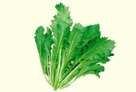 雪里蕻简笔画怎么画_雪里蕻图片简笔画步骤-第3张图片-山城妙识 雪里蕻简笔画怎么画_雪里蕻图片简笔画步骤-第3张图片-山城妙识