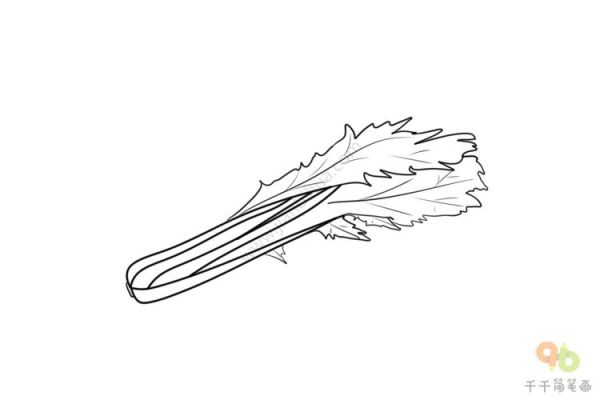 雪里蕻简笔画怎么画_雪里蕻图片简笔画步骤-第1张图片-山城妙识 雪里蕻简笔画怎么画_雪里蕻图片简笔画步骤-第1张图片-山城妙识