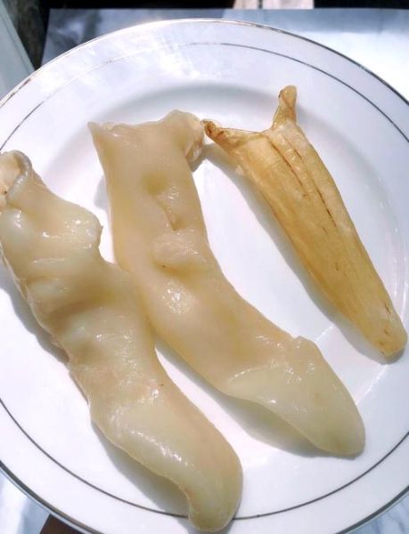 黄花胶的做法大全_黄花胶怎么泡发最好-第3张图片-山城妙识 黄花胶的做法大全_黄花胶怎么泡发最好-第3张图片-山城妙识