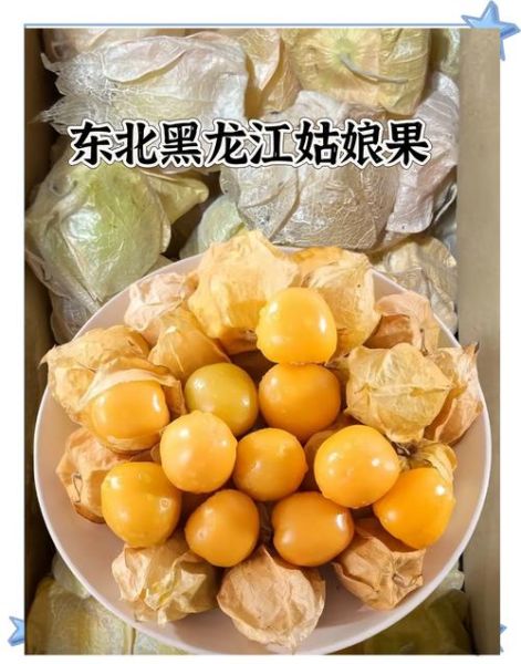 姑娘果怎么吃_姑娘果的正确吃法-第1张图片-山城妙识