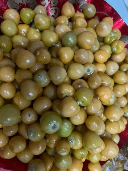 姑娘果怎么吃_姑娘果的正确吃法-第3张图片-山城妙识