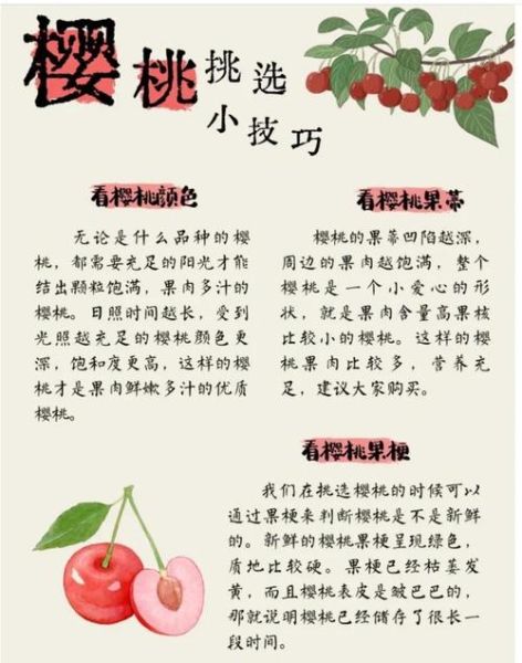 樱桃的功效与作用_樱桃的营养价值有哪些-第1张图片-山城妙识