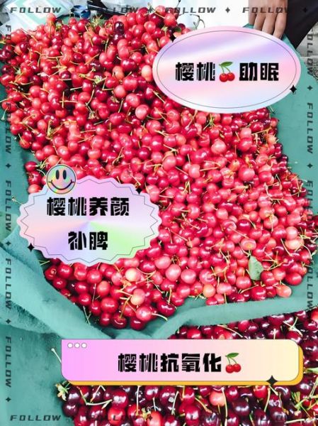 樱桃的功效与作用_樱桃的营养价值有哪些-第3张图片-山城妙识