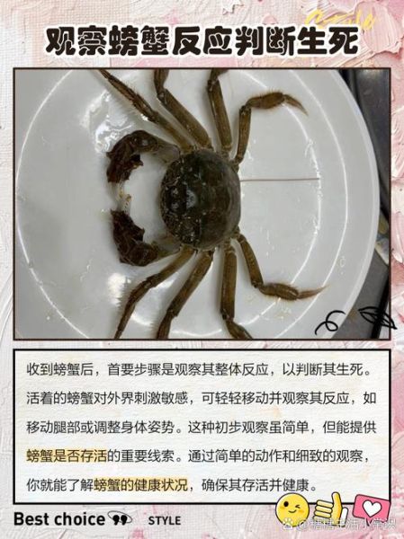螃蟹不动了是不是死了_如何判断螃蟹死活-第1张图片-山城妙识