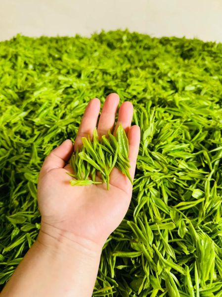 茶叶图片怎么拍好看_茶叶高清图片素材哪里找-第3张图片-山城妙识 茶叶图片怎么拍好看_茶叶高清图片素材哪里找-第3张图片-山城妙识