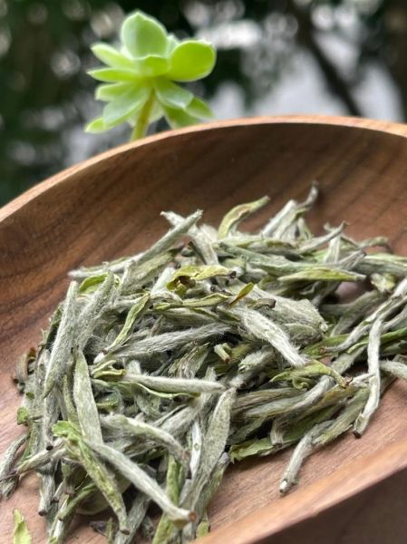 茶叶图片怎么拍好看_茶叶高清图片素材哪里找-第2张图片-山城妙识 茶叶图片怎么拍好看_茶叶高清图片素材哪里找-第2张图片-山城妙识