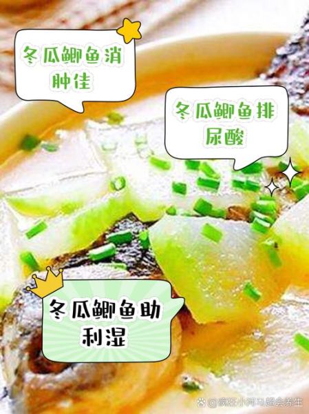 鲫鱼冬瓜汤怎么煲_鲫鱼冬瓜汤的功效-第1张图片-山城妙识
