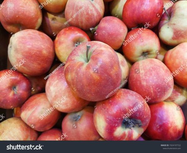 how_to_store_apples_in_fridge_how_long_do_apples_last-第2张图片-山城妙识 how_to_store_apples_in_fridge_how_long_do_apples_last-第2张图片-山城妙识