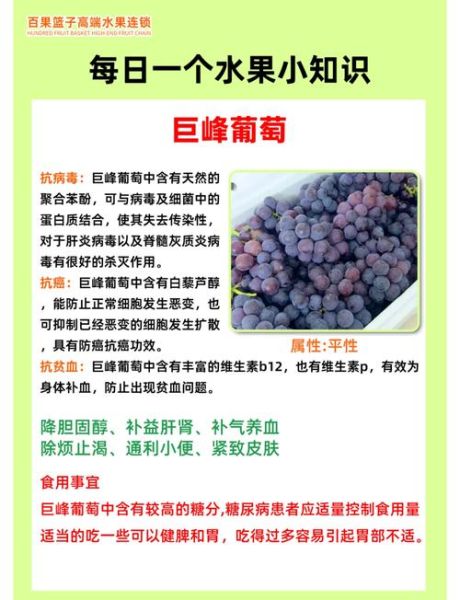 葡萄的药用价值有哪些_葡萄的功效与作用-第1张图片-山城妙识