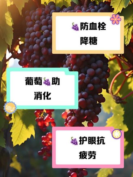 葡萄的药用价值有哪些_葡萄的功效与作用-第3张图片-山城妙识