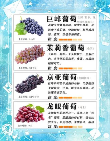 葡萄的药用价值有哪些_葡萄的功效与作用-第2张图片-山城妙识