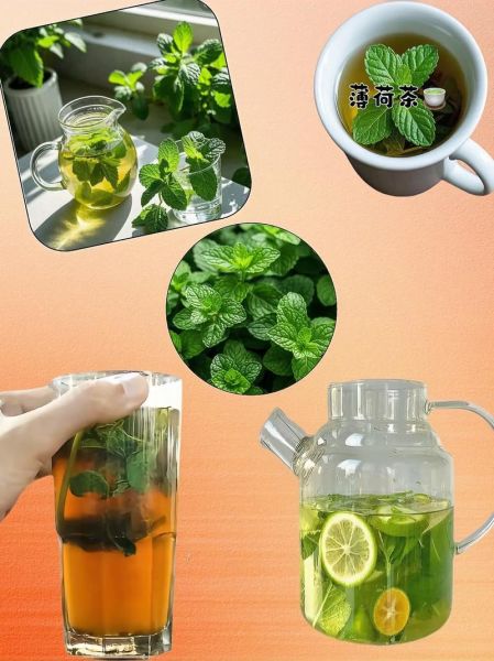 薄荷茶的功效与作用及禁忌_薄荷茶什么人不能喝-第3张图片-山城妙识 薄荷茶的功效与作用及禁忌_薄荷茶什么人不能喝-第3张图片-山城妙识