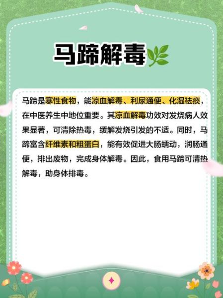 马蹄生吃有什么好处_马蹄生吃能降火吗-第3张图片-山城妙识