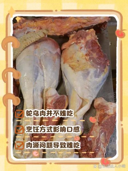 鸵鸟肉什么人不能吃_哪些人群需忌口-第1张图片-山城妙识