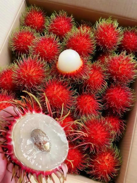 红毛丹的营养价值_红毛丹能减肥吗-第3张图片-山城妙识 红毛丹的营养价值_红毛丹能减肥吗-第3张图片-山城妙识