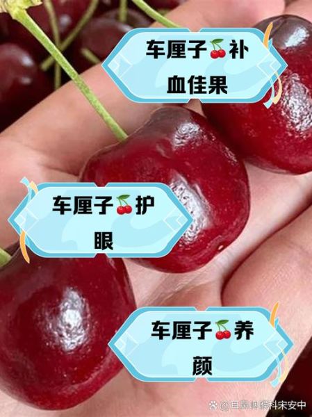 车厘子功效与作用_车厘子一天吃多少合适-第1张图片-山城妙识 车厘子功效与作用_车厘子一天吃多少合适-第1张图片-山城妙识