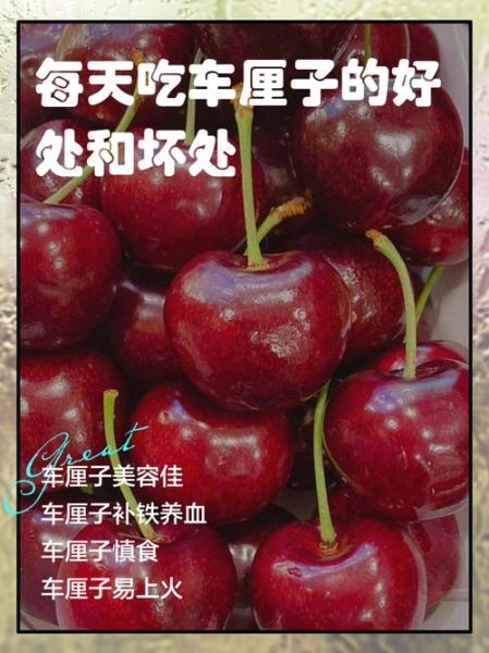 车厘子功效与作用_车厘子一天吃多少合适-第2张图片-山城妙识 车厘子功效与作用_车厘子一天吃多少合适-第2张图片-山城妙识