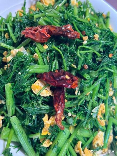 茴香菜怎么做好吃_茴香菜的吃法大全-第1张图片-山城妙识