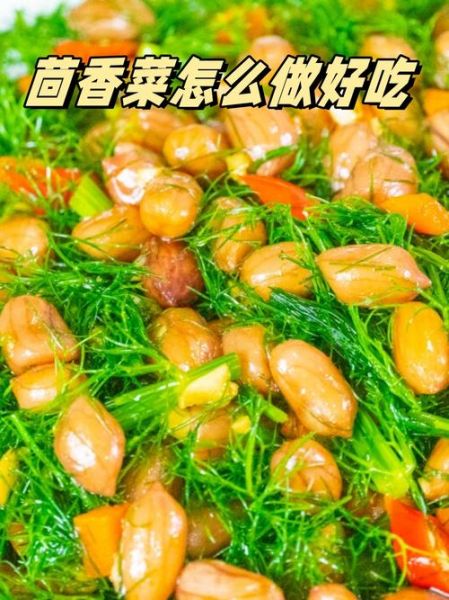 茴香菜怎么做好吃_茴香菜的吃法大全-第3张图片-山城妙识