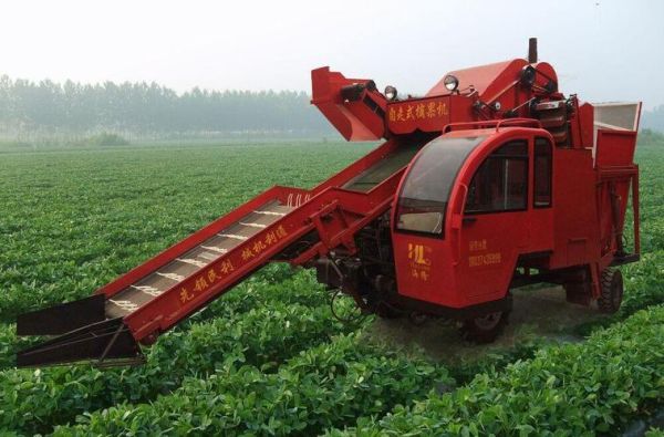 花生收获机多少钱一台_花生收获机视频怎么看效果-第3张图片-山城妙识 花生收获机多少钱一台_花生收获机视频怎么看效果-第3张图片-山城妙识