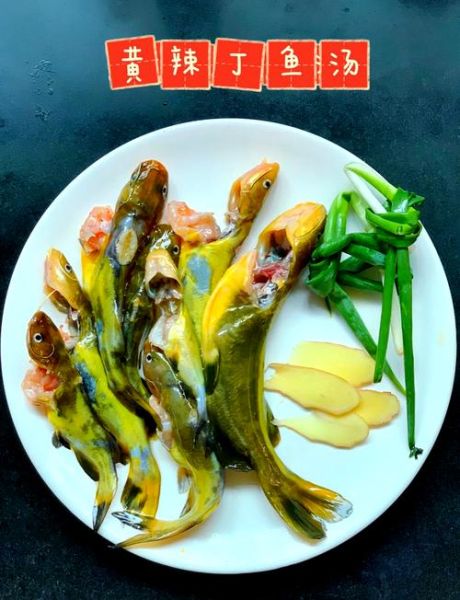 黄辣丁鱼鱼汤怎么做_黄辣丁鱼鱼汤的做法大全集-第1张图片-山城妙识