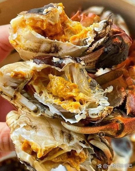阳澄湖大闸蟹哪家正宗_如何辨别真假阳澄湖大闸蟹-第1张图片-山城妙识