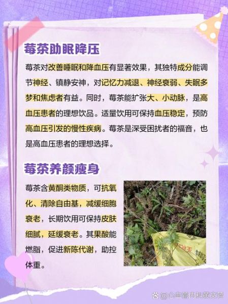 莓茶的功效与作用禁忌_莓茶适合什么人喝-第2张图片-山城妙识 莓茶的功效与作用禁忌_莓茶适合什么人喝-第2张图片-山城妙识