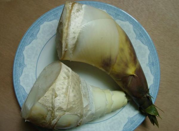 绿竹笋怎么做好吃_绿竹笋的做法大全家常-第2张图片-山城妙识 绿竹笋怎么做好吃_绿竹笋的做法大全家常-第2张图片-山城妙识