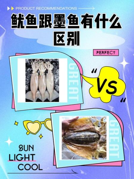 墨鱼和鱿鱼哪个好吃_口感营养对比-第1张图片-山城妙识 墨鱼和鱿鱼哪个好吃_口感营养对比-第1张图片-山城妙识