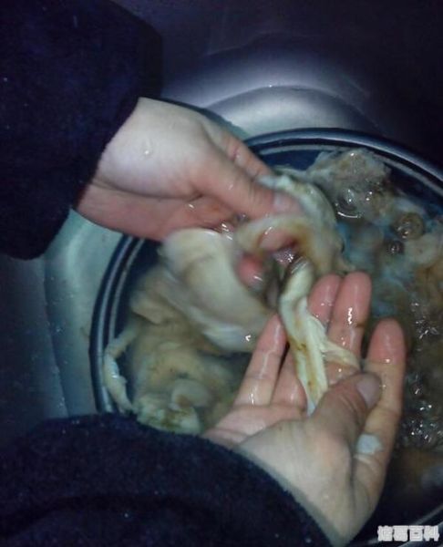 河蚌怎么清洗_河蚌怎么煮才烂-第2张图片-山城妙识