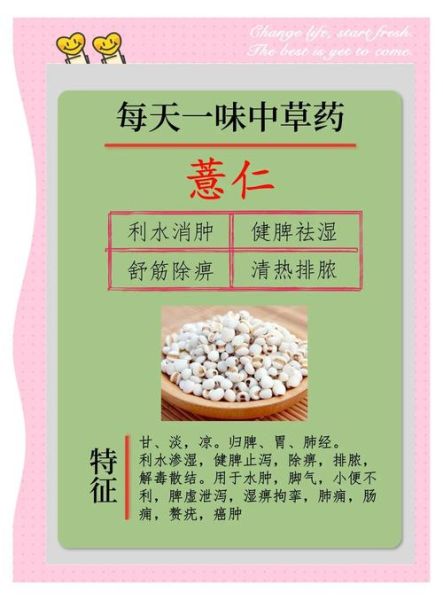 薏仁的功效与作用禁忌_孕妇能吃吗-第1张图片-山城妙识 薏仁的功效与作用禁忌_孕妇能吃吗-第1张图片-山城妙识