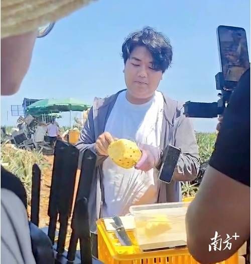 菠萝直播间怎么赚钱_菠萝直播间入驻条件-第1张图片-山城妙识