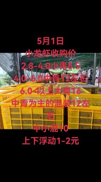 小龙虾价格暴跌原因_今年小龙虾为什么便宜-第1张图片-山城妙识 小龙虾价格暴跌原因_今年小龙虾为什么便宜-第1张图片-山城妙识