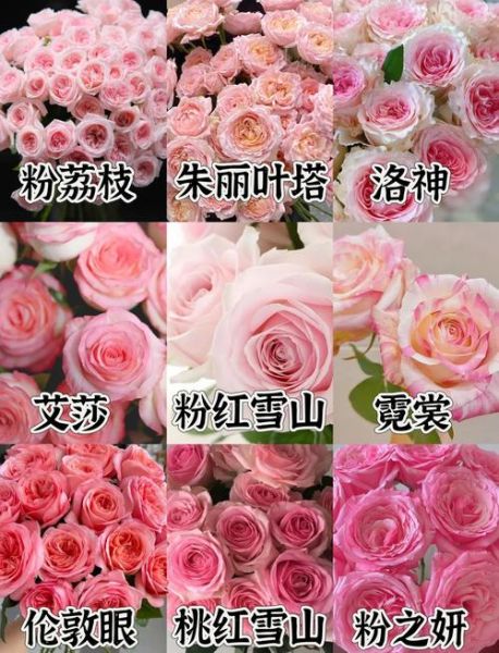 粉色玫瑰花语是什么_送几朵最合适-第1张图片-山城妙识 粉色玫瑰花语是什么_送几朵最合适-第1张图片-山城妙识