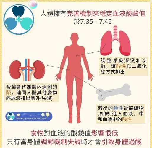 酸性食物有哪些_酸性食物对身体的影响-第1张图片-山城妙识