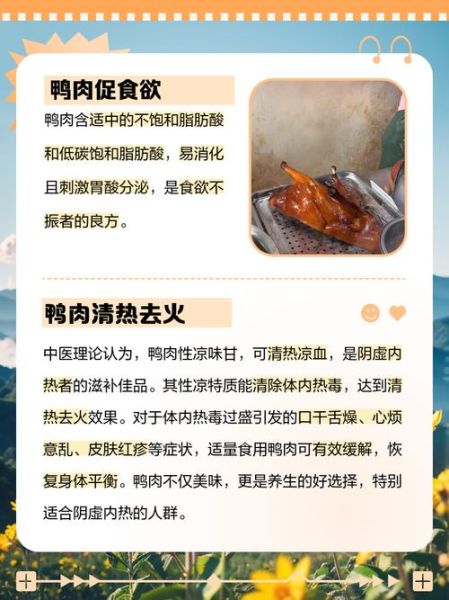 鸭肉的功效与作用禁忌_什么人不能吃鸭肉-第1张图片-山城妙识