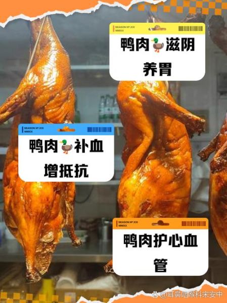鸭肉的功效与作用禁忌_什么人不能吃鸭肉-第2张图片-山城妙识